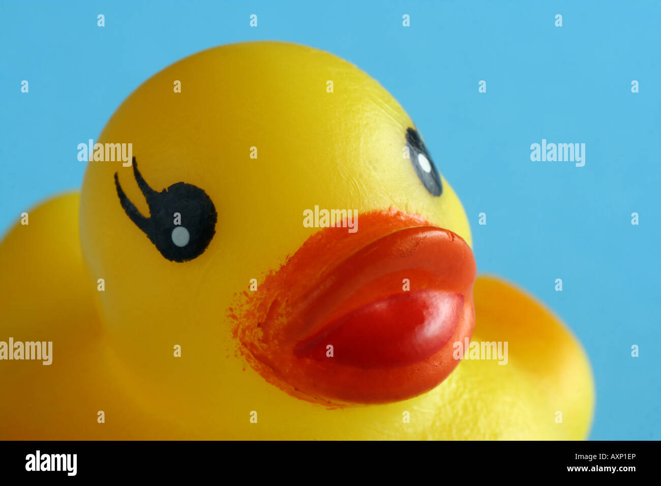 Yellow toy duck Stock Photo - Alamy