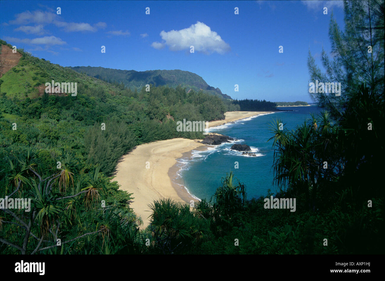 Lumahai Beach Kauai Hawaii USA Stock Photo - Alamy