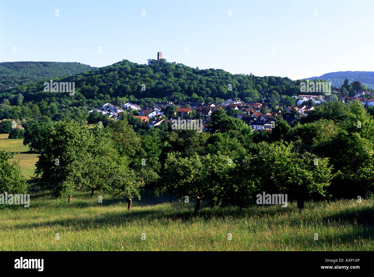 Taunus germany konigstein hi-res stock photography and images - Alamy