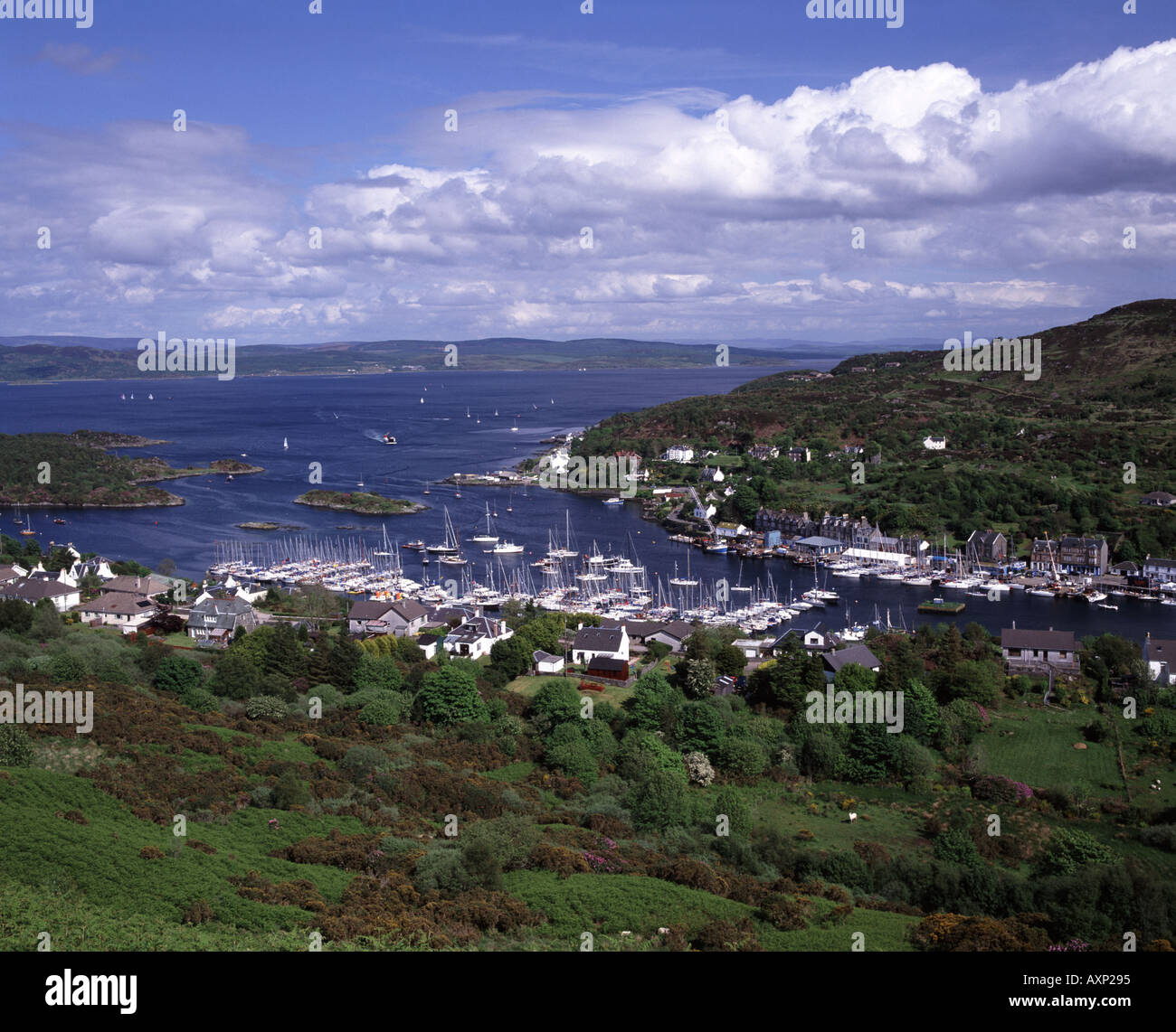 University Of Strathclyde Genealoy