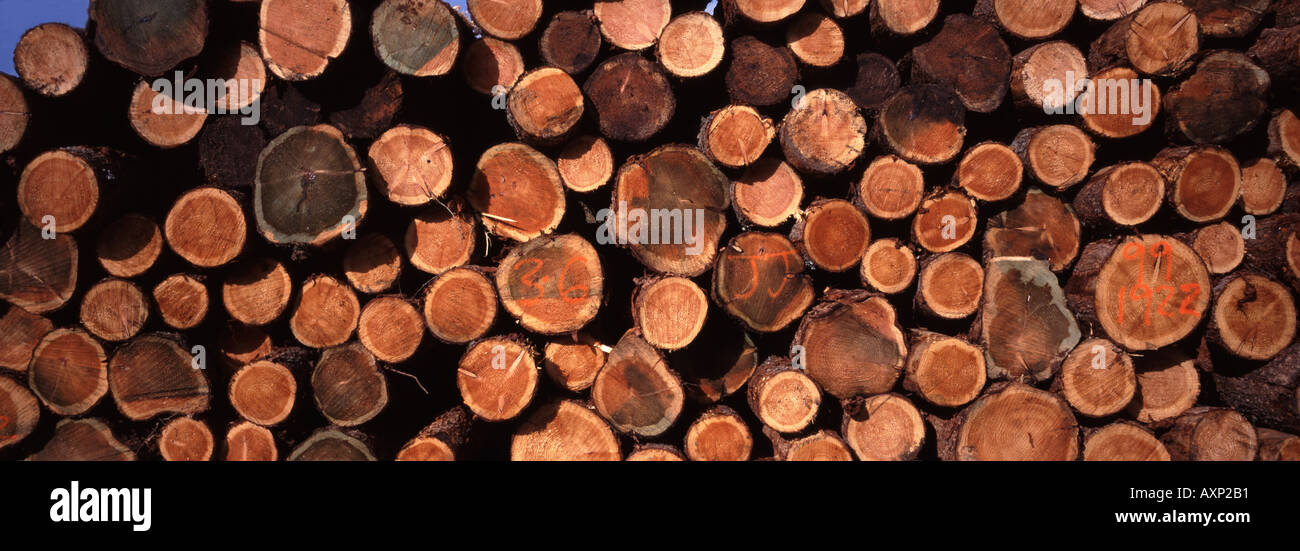 Uk logs cut timber pilled hi-res stock photography and images - Alamy