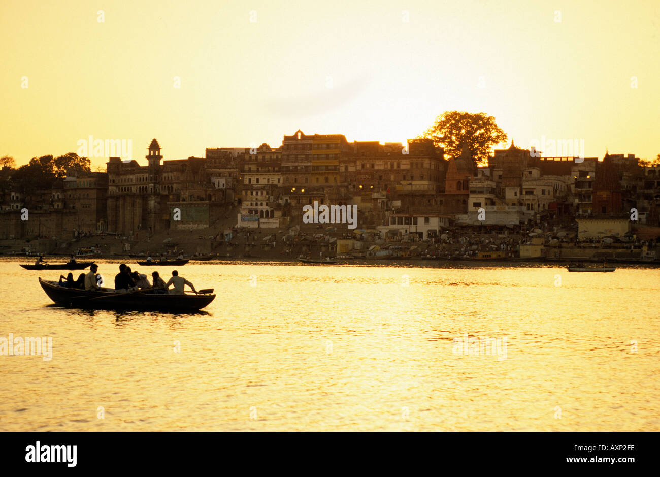 Uttar Pradesh India Varanasi life by the ghats alongside the sacred ...