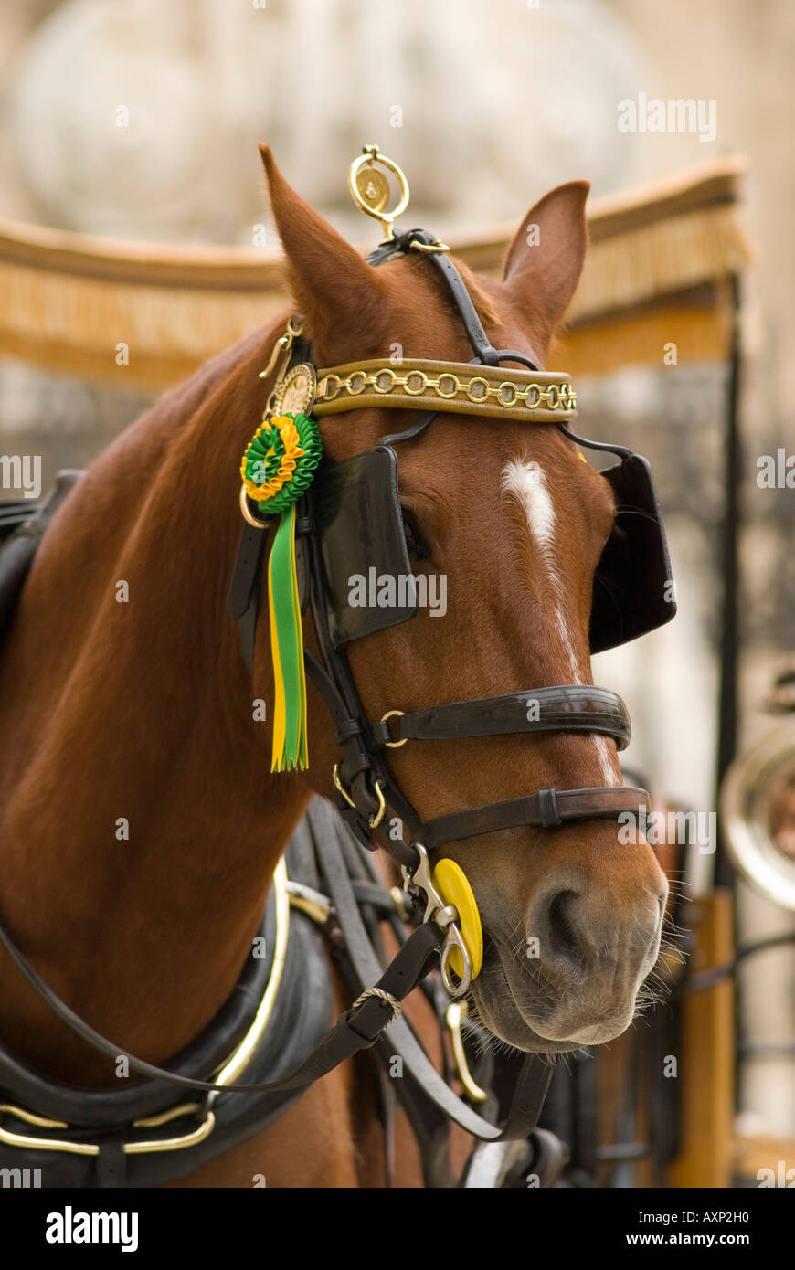 Brown Horse with Bell Stock Photo - Alamy
