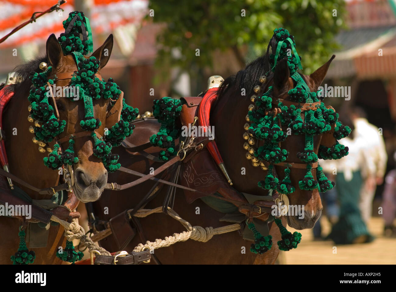 Decorated harness hi-res stock photography and images - Alamy