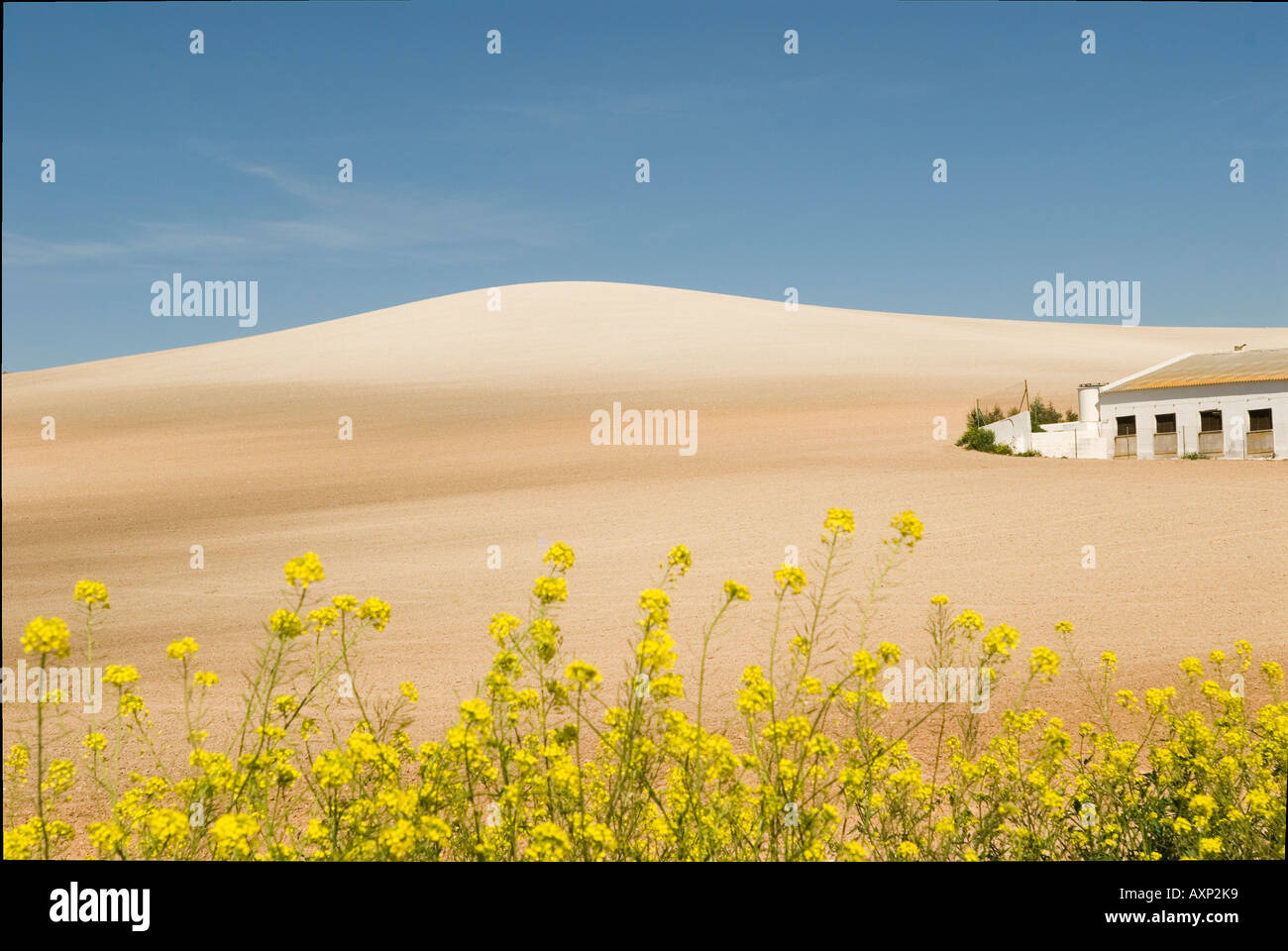 Farmhouse in Spain Stock Photo - Alamy