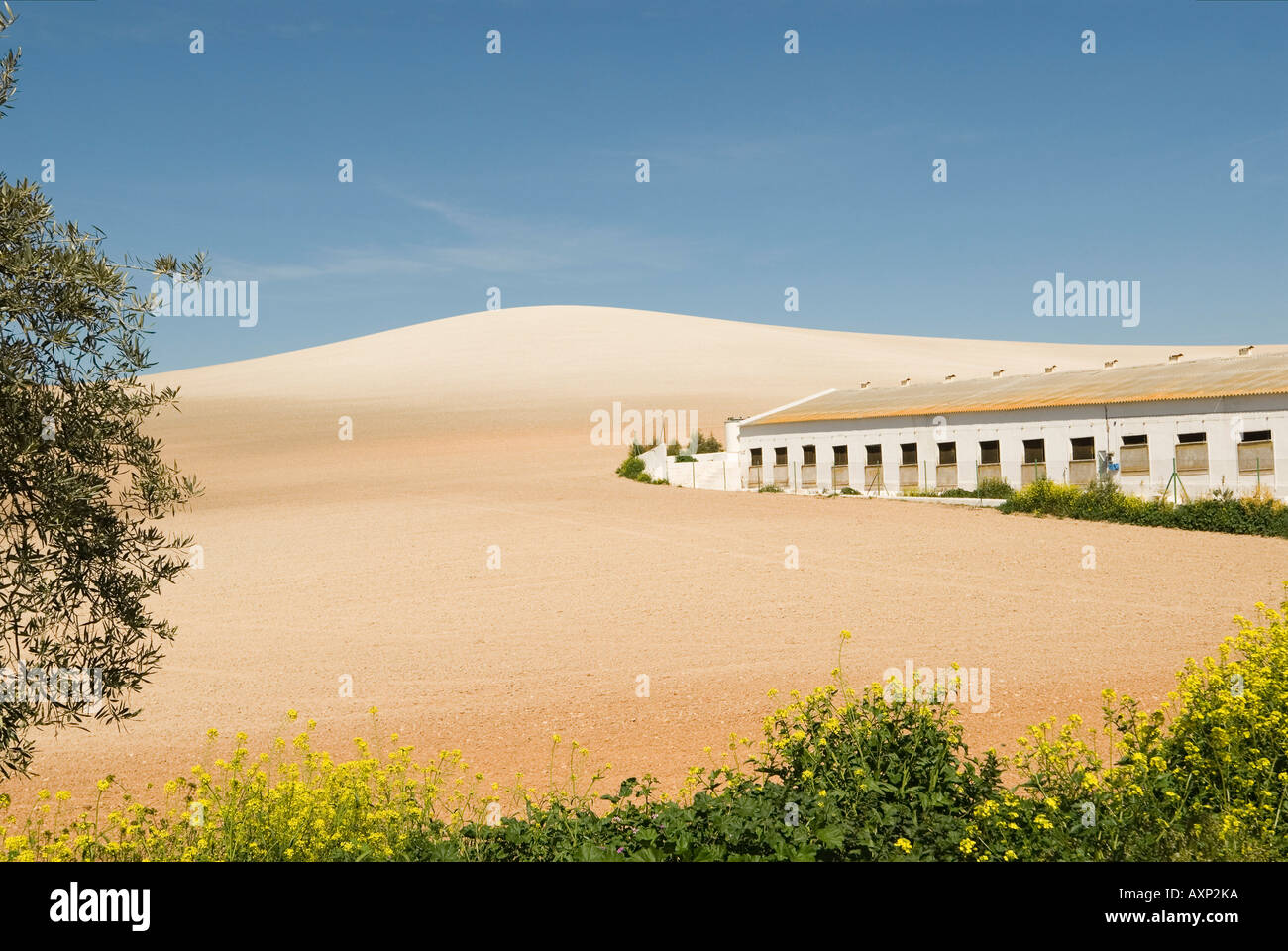 Farmhouse in Spain Stock Photo - Alamy