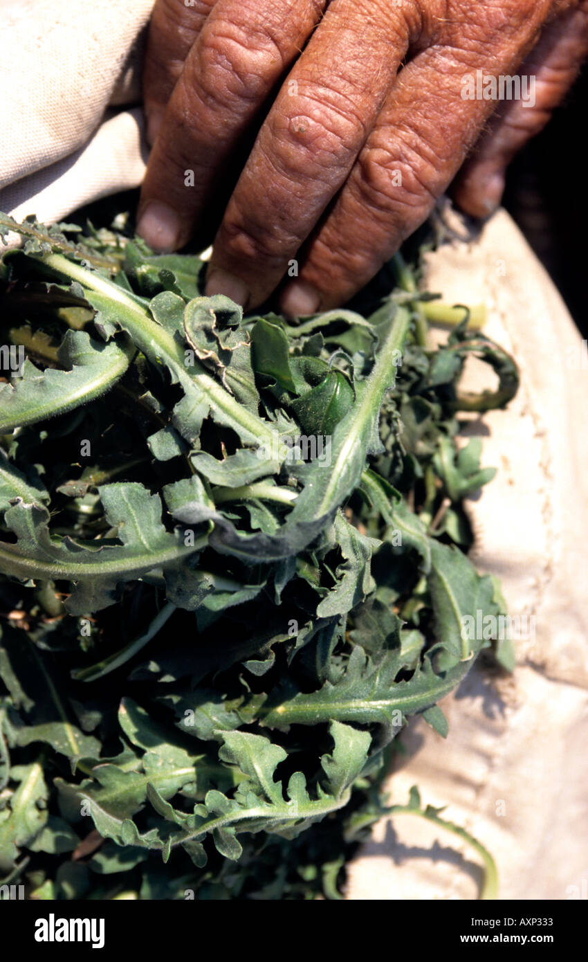 Mezedes cyclades hi-res stock photography and images - Alamy