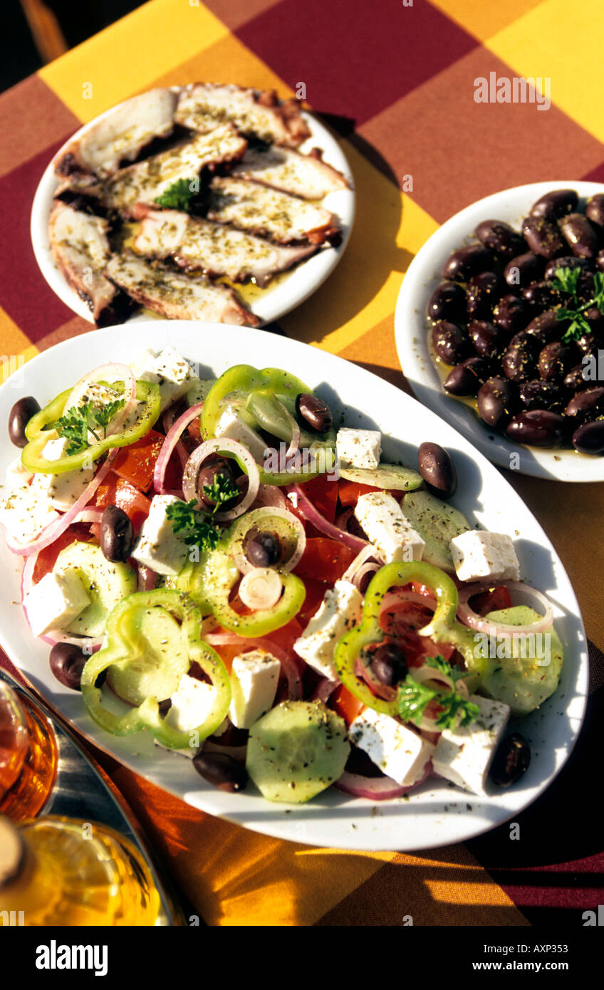 Octopodi hi-res stock photography and images - Alamy