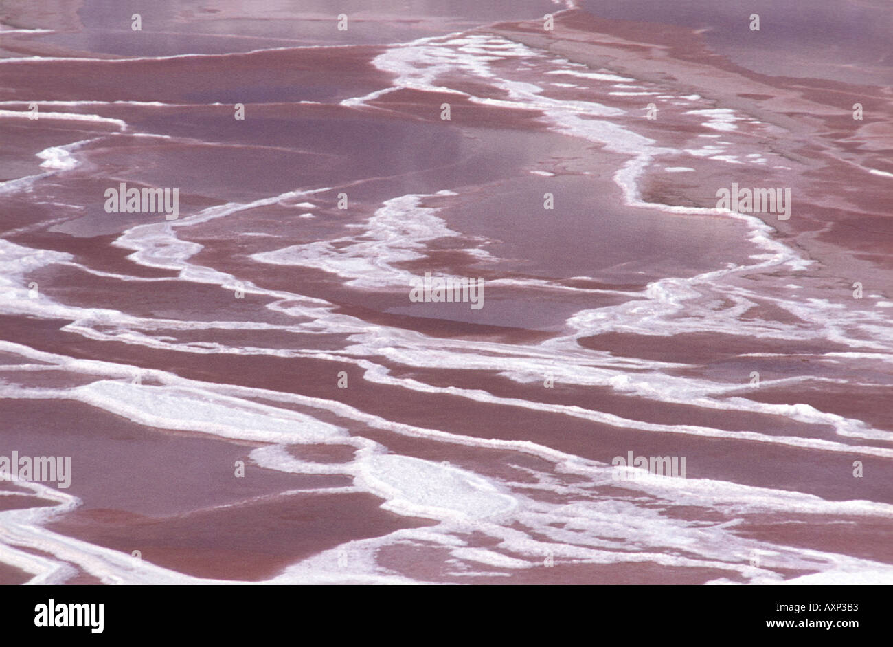 Swirling patterns of white on pink in the Sodium Carbonate or trona ...