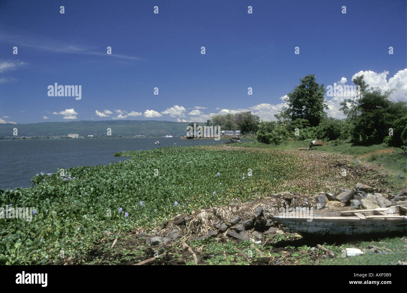 Winam gulf hi-res stock photography and images - Alamy