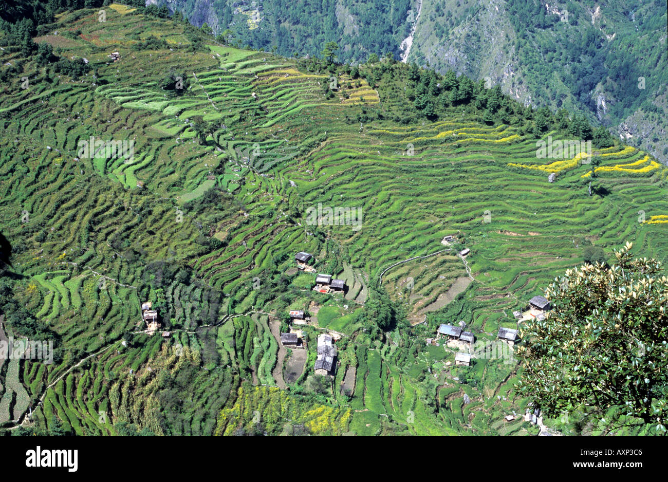 Lantang hi-res stock photography and images - Alamy