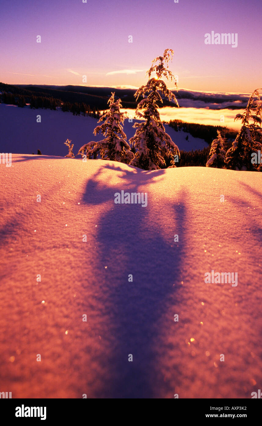 Sun casting shadows on snow hi-res stock photography and images - Alamy
