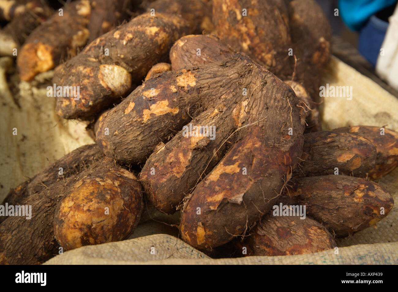 Yams vegetable grenada caribbean hi-res stock photography and images ...