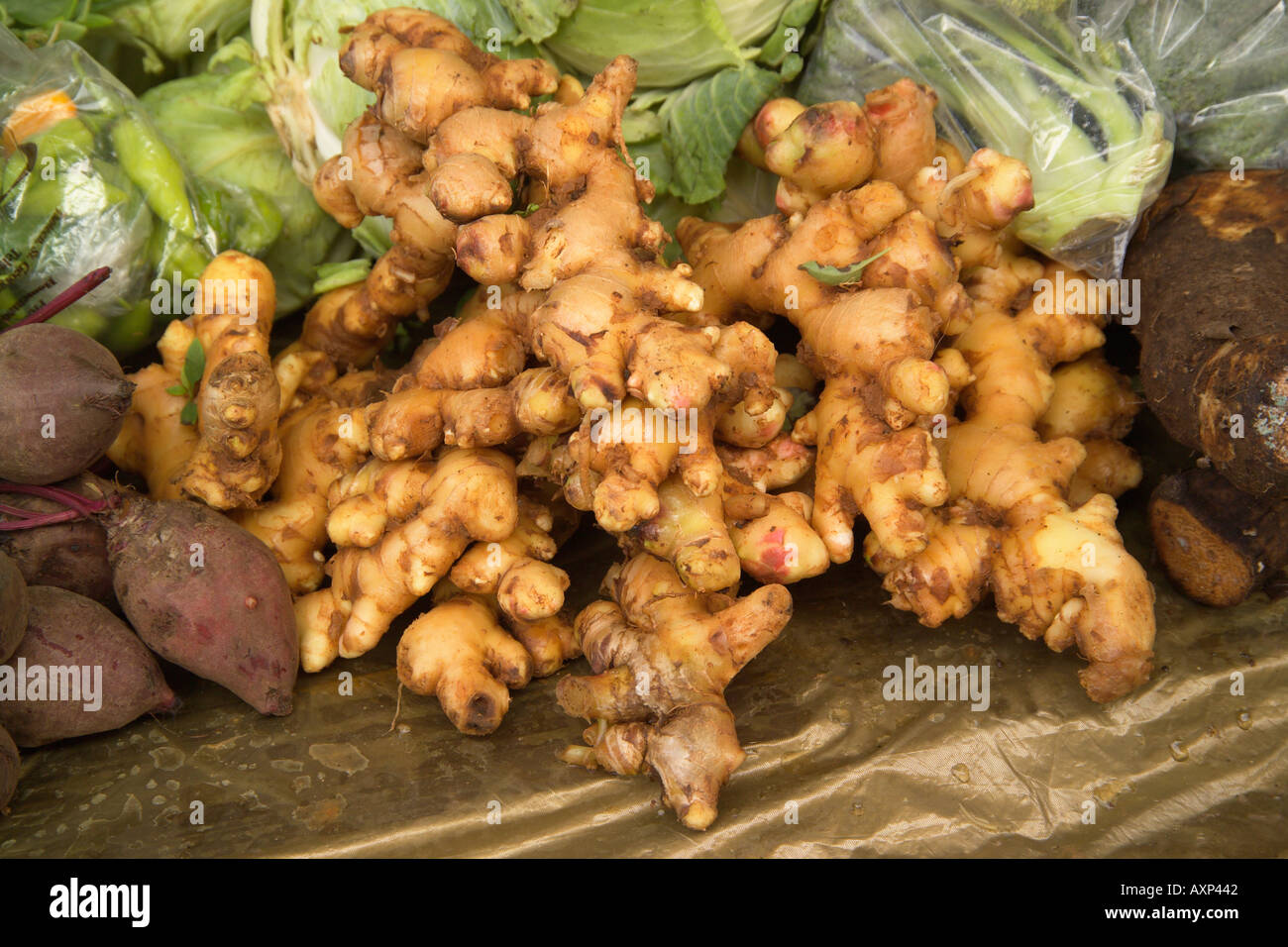 Caribbean spice production hi-res stock photography and images - Alamy