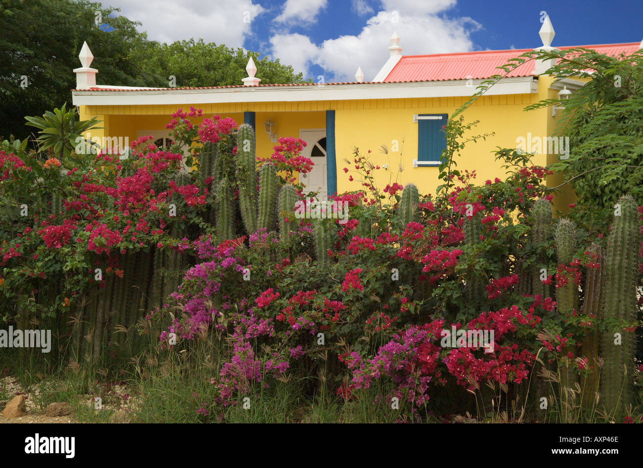 Typical coloured house Aruba Caribbean Stock Photo - Alamy