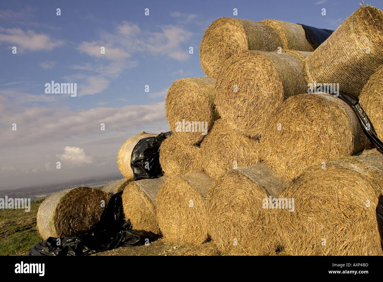 Bundles of Hay in storage Stock Photo - Alamy