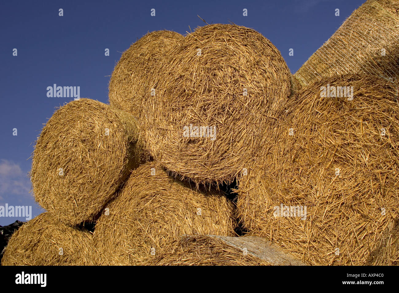 Bundles of Hay in storage Stock Photo - Alamy