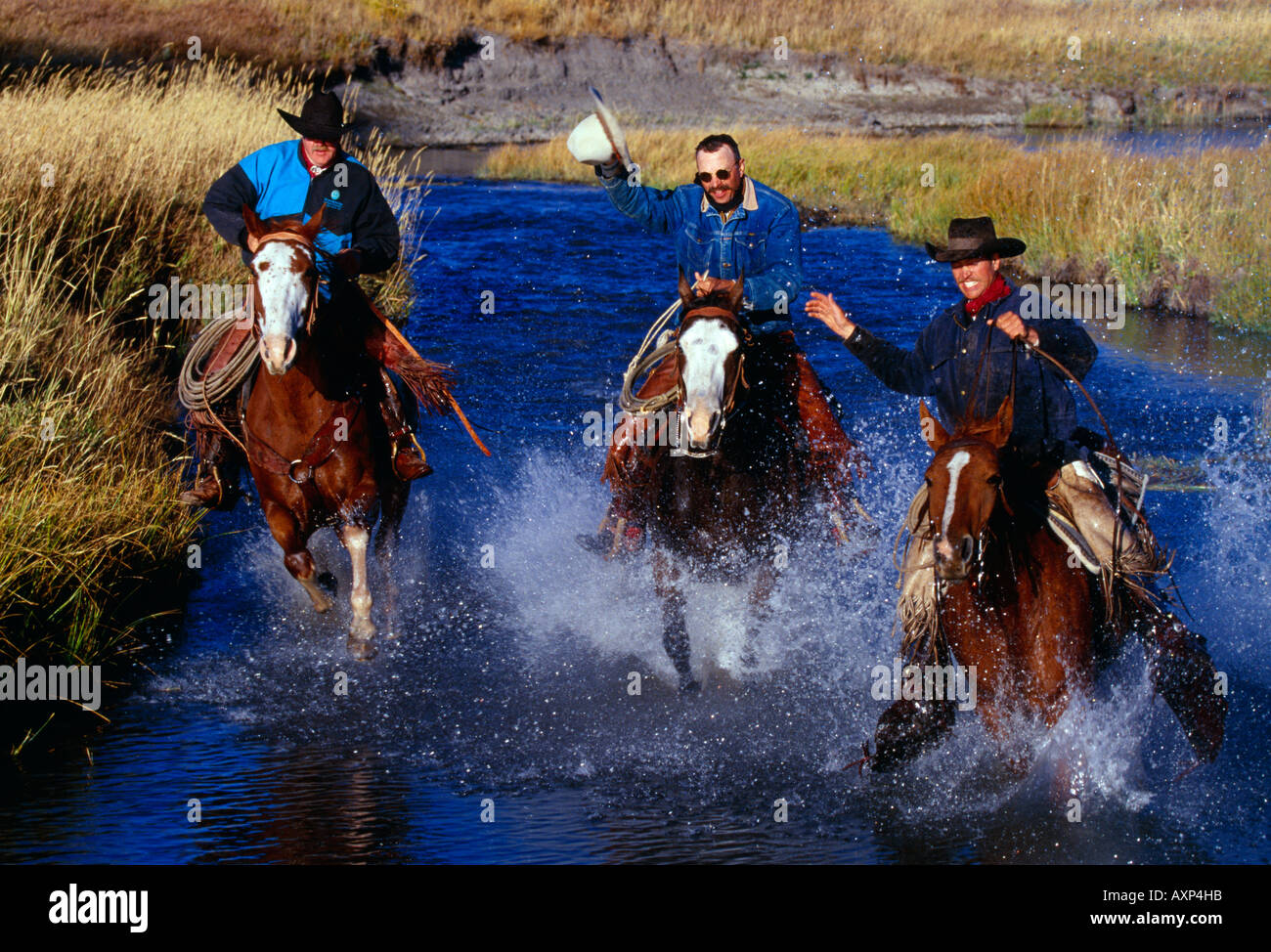 Three cowboys on horseback hi-res stock photography and images - Alamy