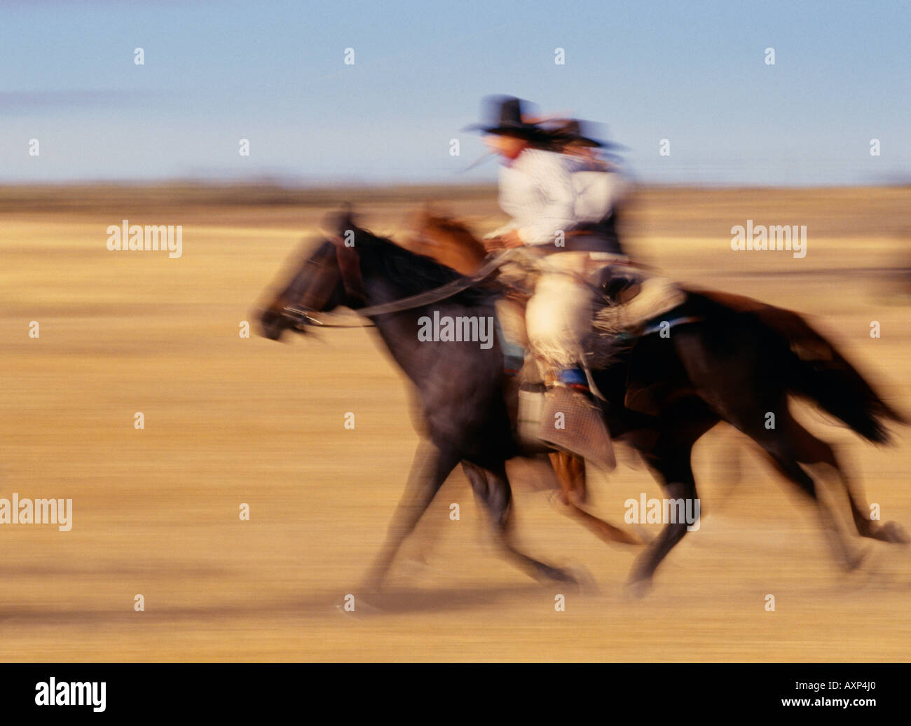 Cowboys racing horses Stock Photo - Alamy