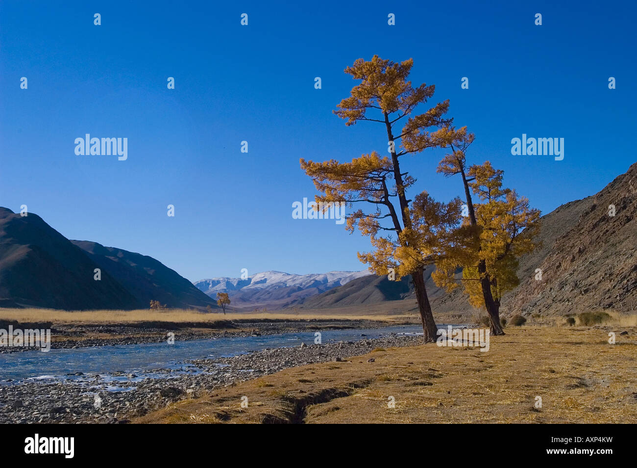Beautiful Mongolian mountain landscape Bayan Olgi, Mongolia Stock Photo ...