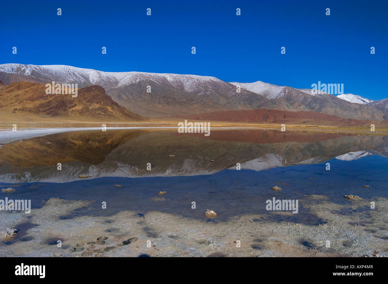 Beautiful Mongolian mountain landscape Bayan Olgi, Mongolia Stock Photo ...