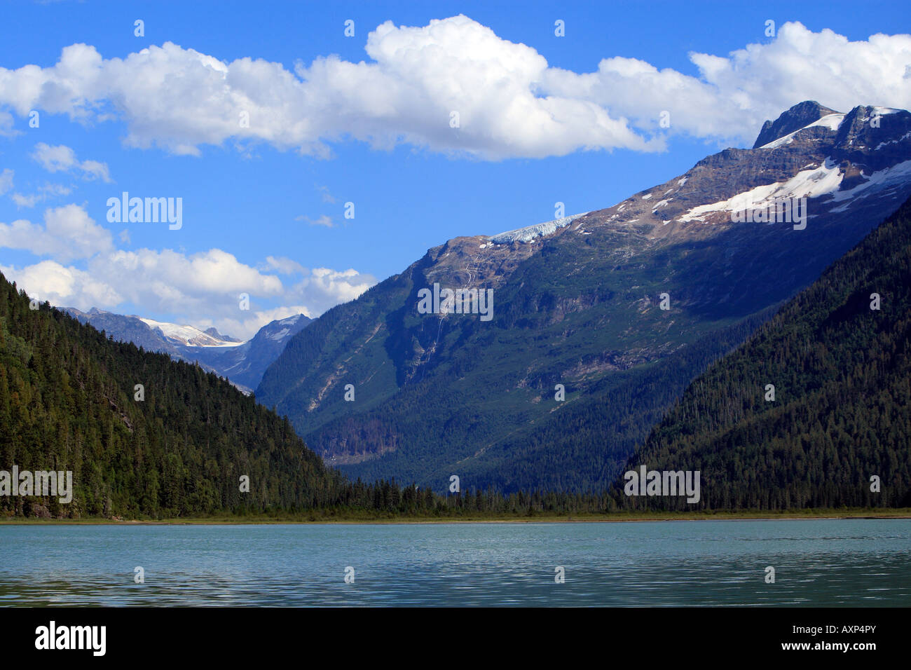 A view of the Columbia Mountains from the Mud lake delta near Blue ...