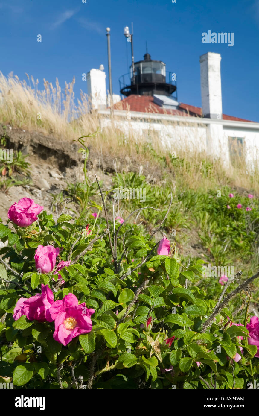 Beavertail light hi-res stock photography and images - Alamy