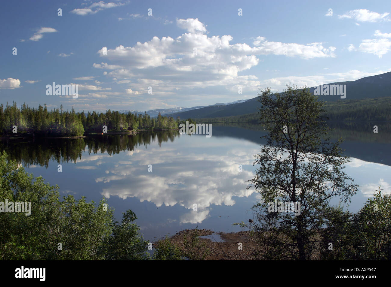 Lake Northen Norway Stock Photo - Alamy