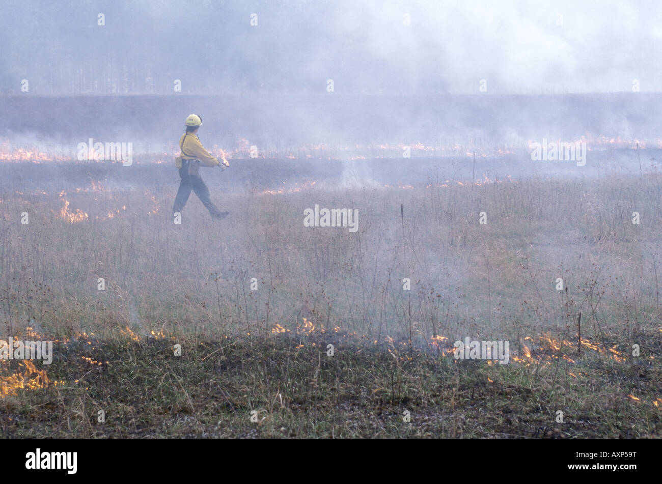 Burning out the fire area Stock Photo - Alamy