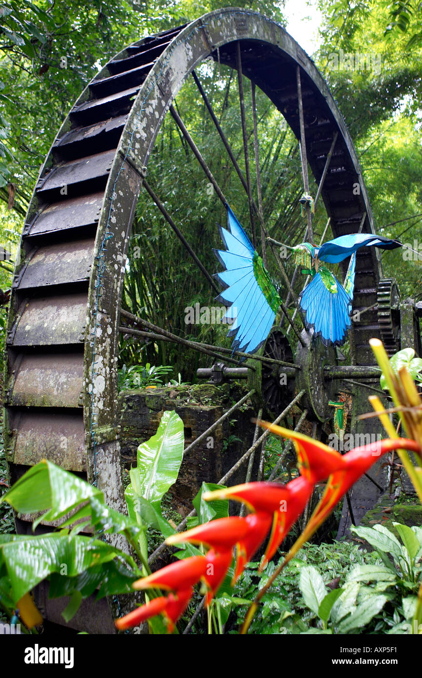 arnos vale waterwheel tobago caribbean lesser antilles west indies ...