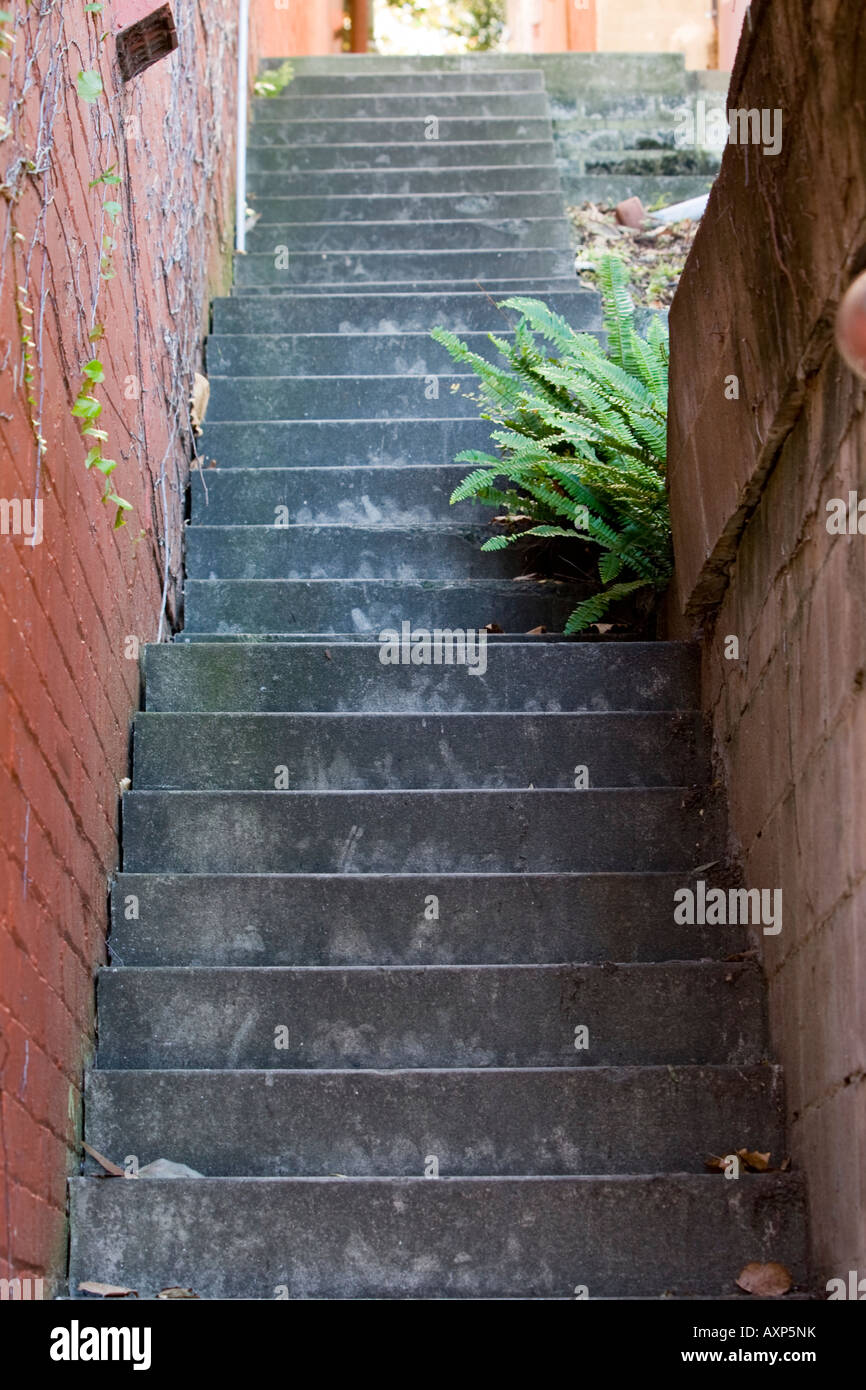 Steps provide public access between buildings Stock Photo - Alamy