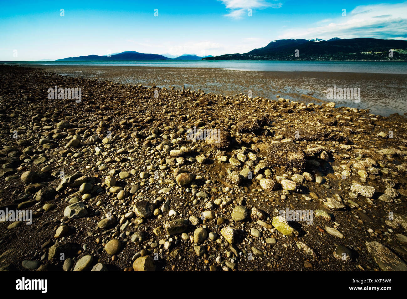 Exposed sea bed from receding tide Stock Photo - Alamy