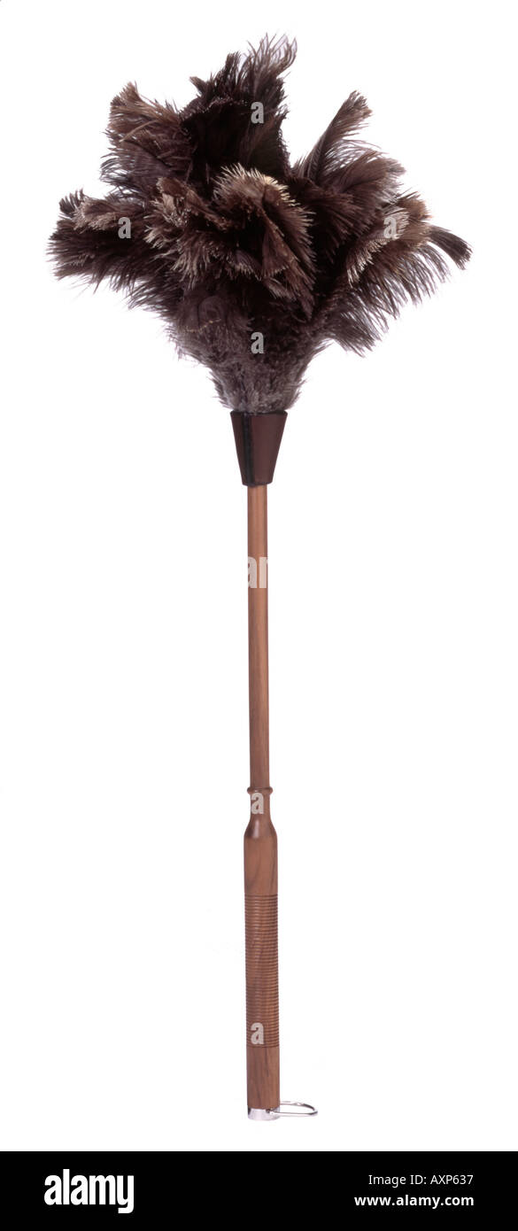 Feathers stick Cut Out Stock Images & Pictures - Alamy