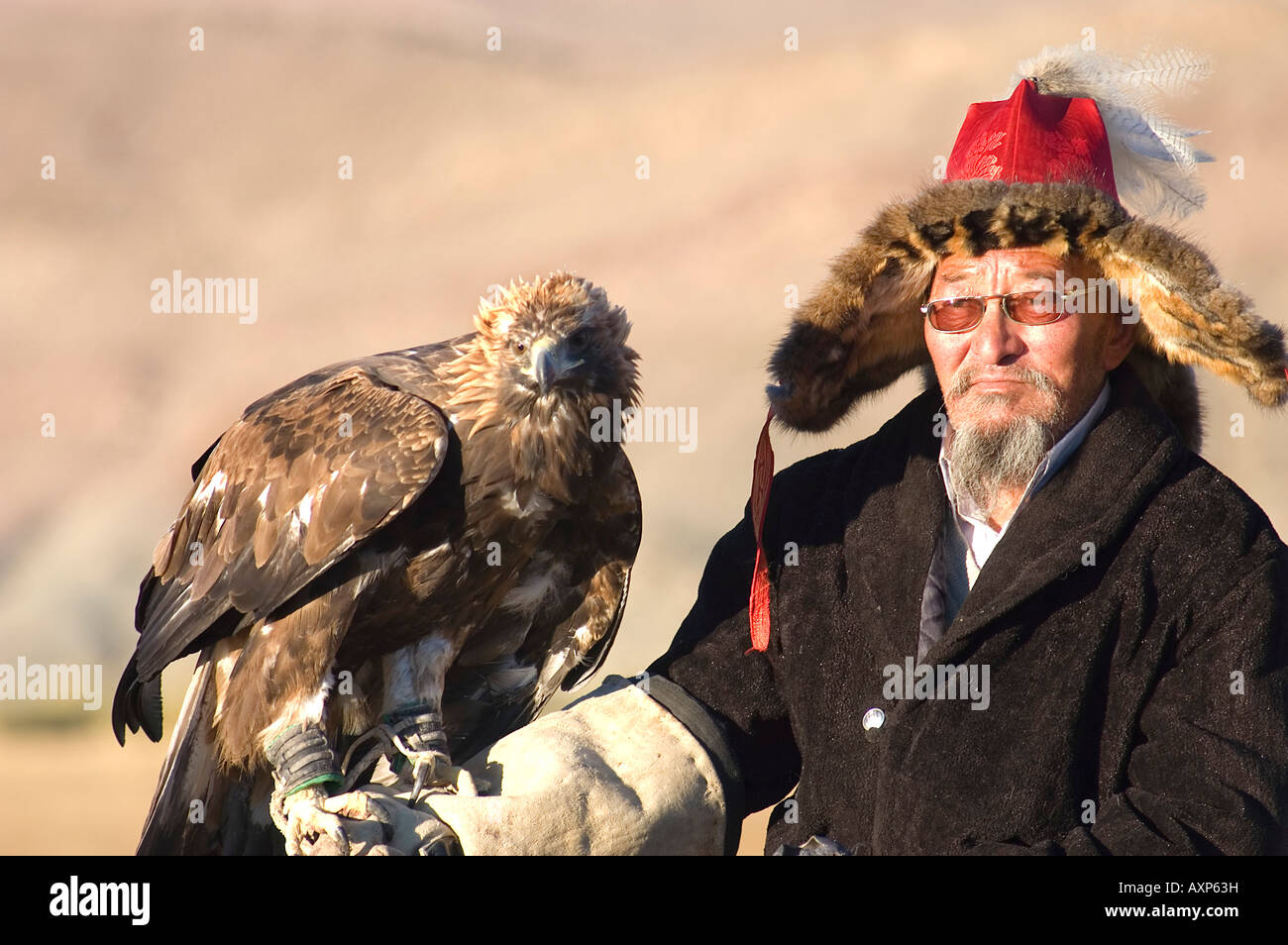 Golden eagle annual eagle hunting hi-res stock photography and images ...