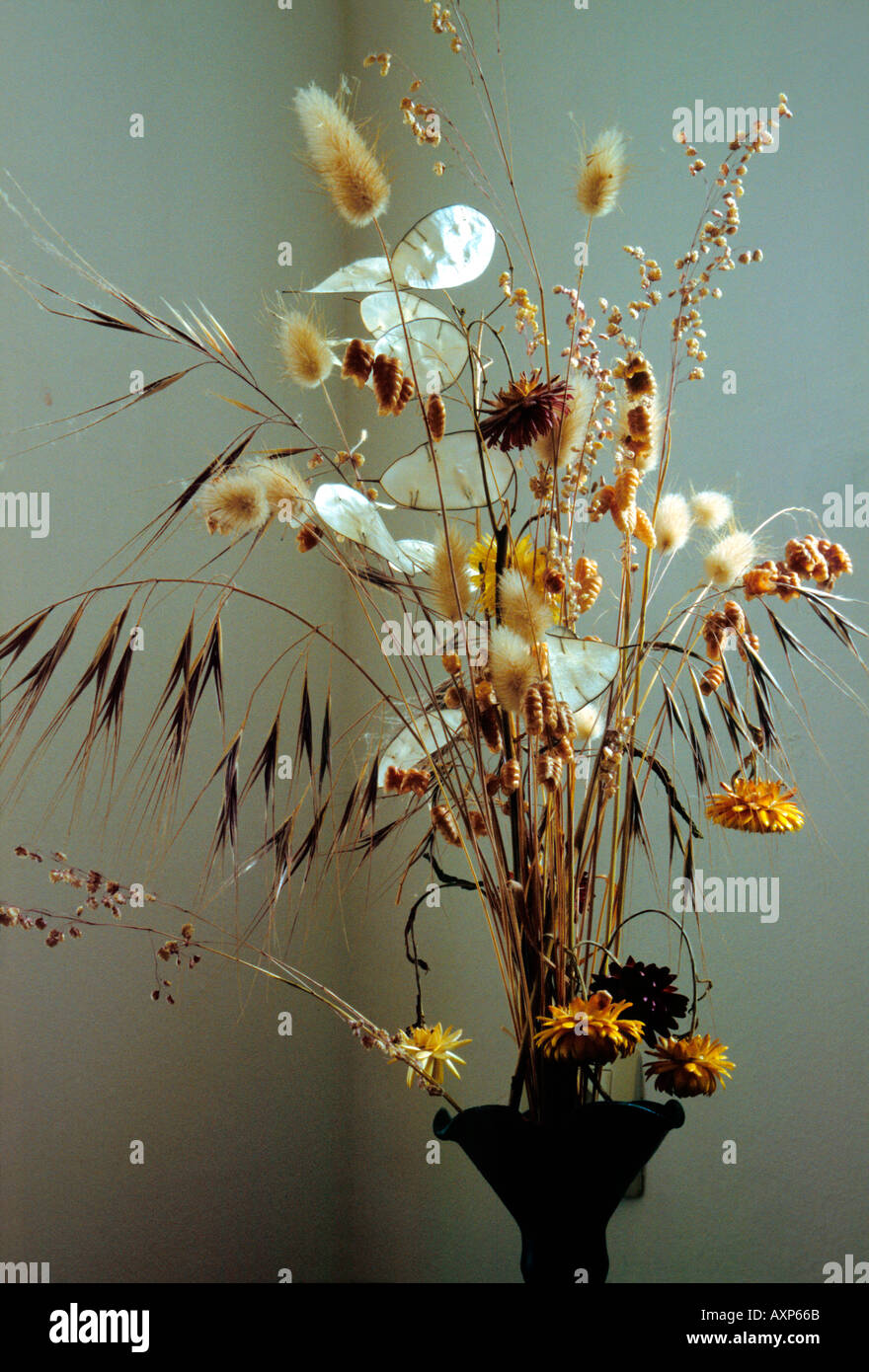 Dried flowers in arrangement Stock Photo - Alamy