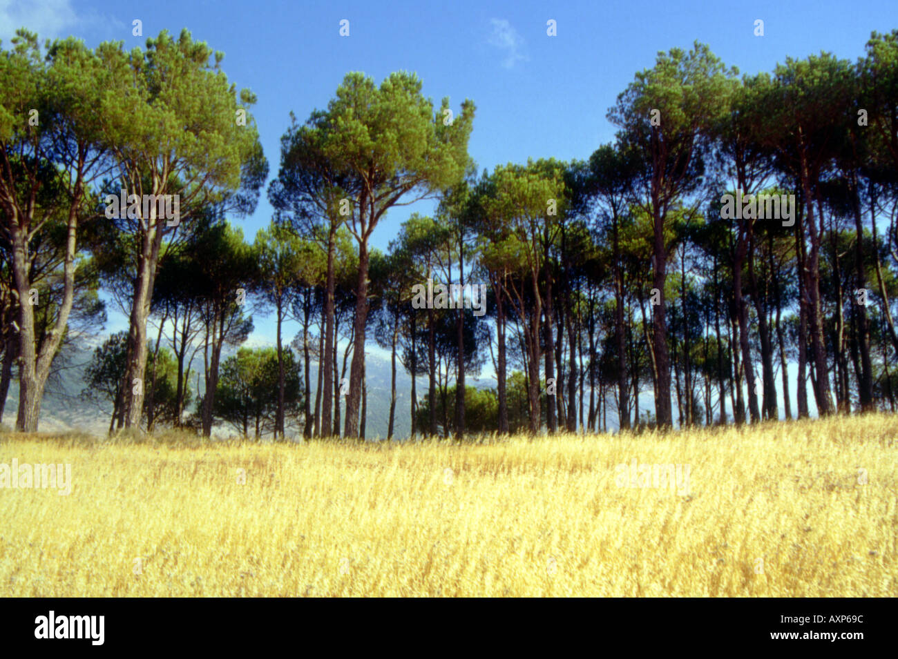 Mount pin hi-res stock photography and images - Alamy