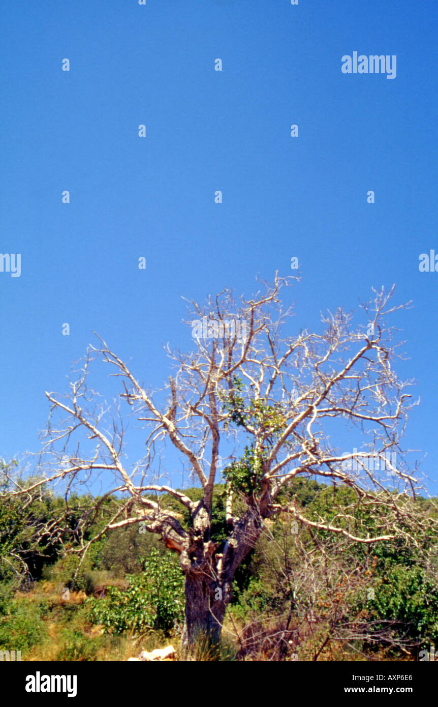 scenery from lebanese countryside Stock Photo - Alamy
