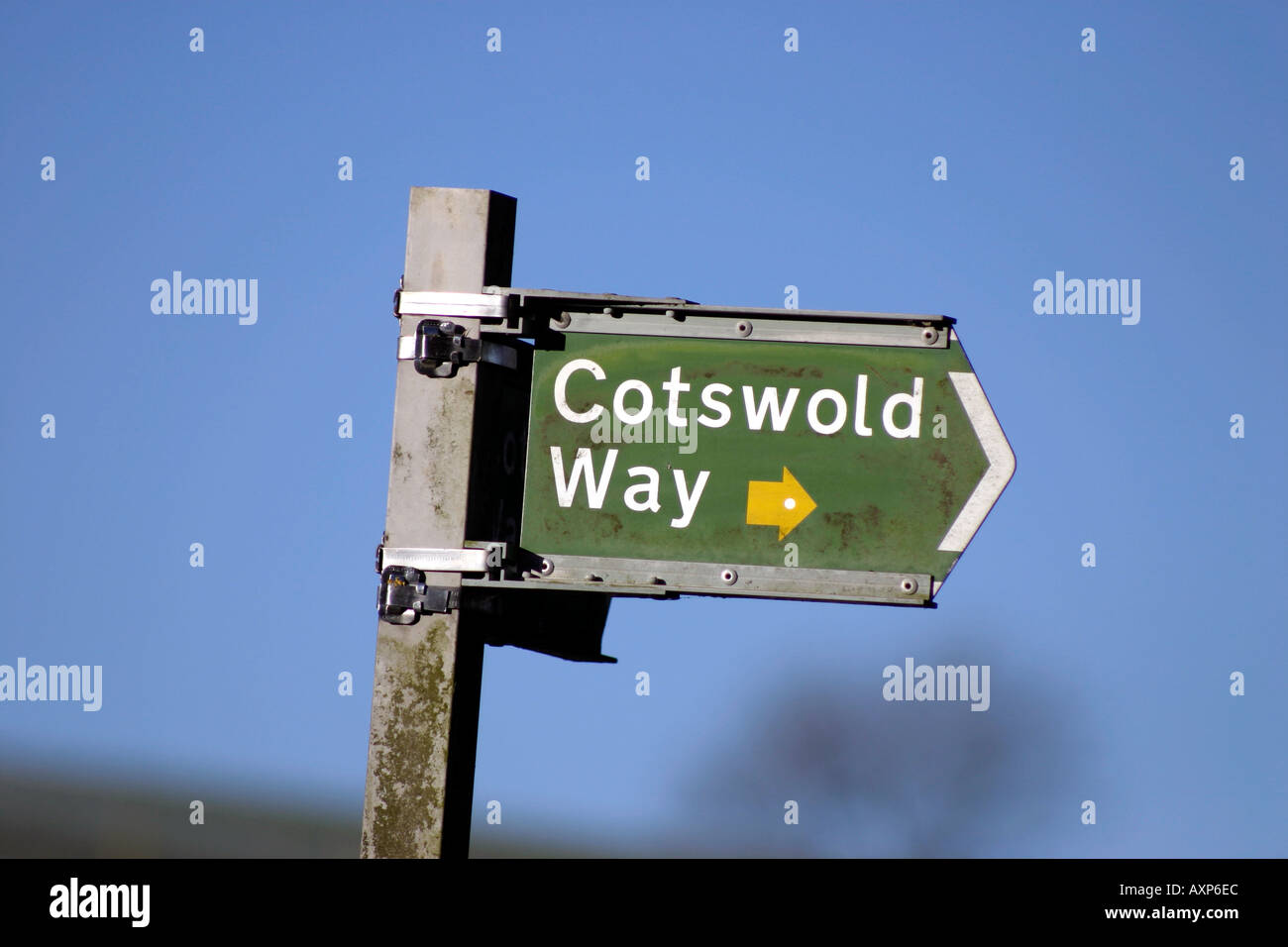 Cotswold Way Sign Stock Photo - Alamy
