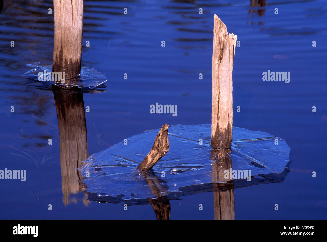 Thaw horizontal hi-res stock photography and images - Alamy