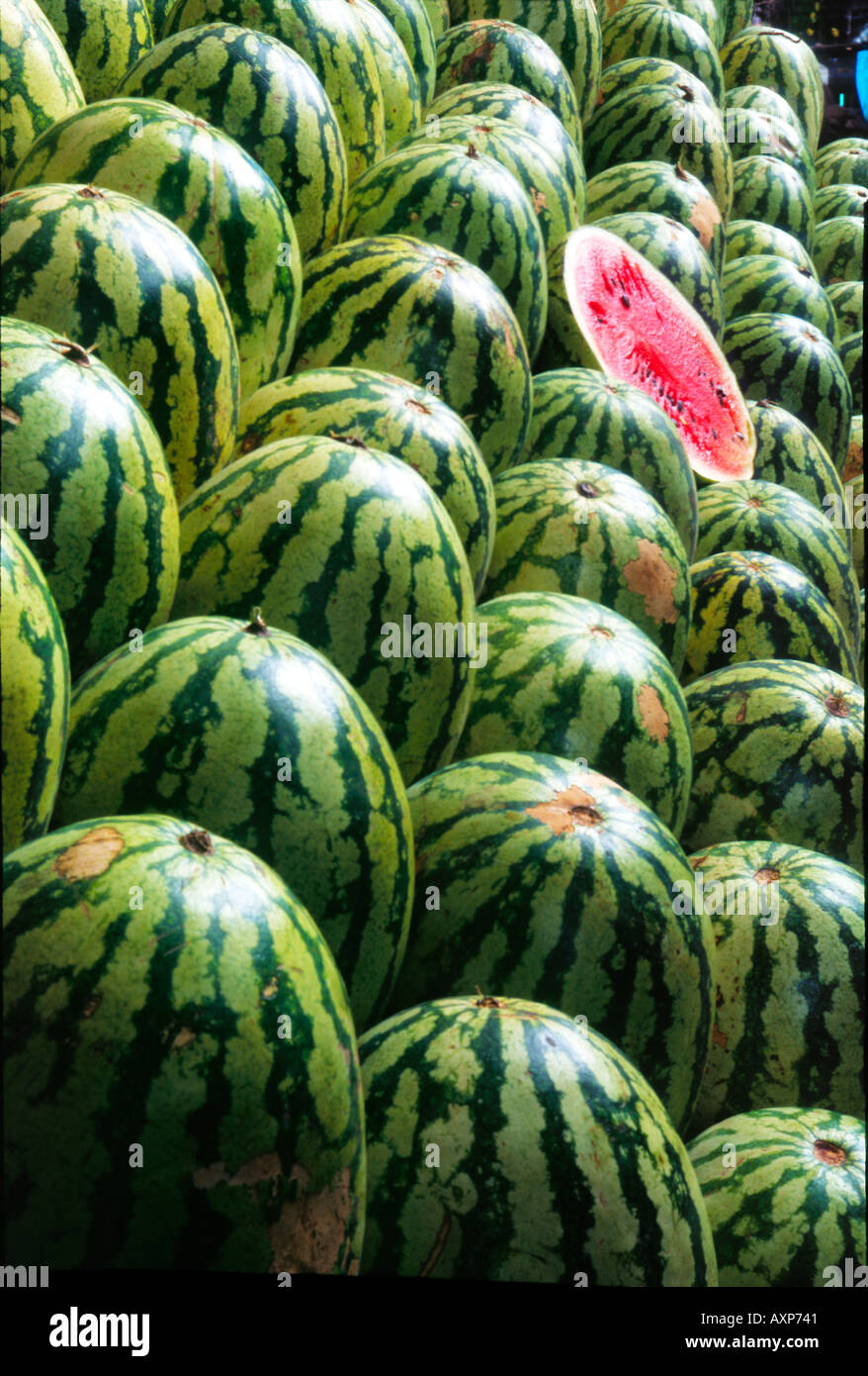 Watermelons stacked in rows Citrullus lanatus Cucurbitaceae Stock Photo ...