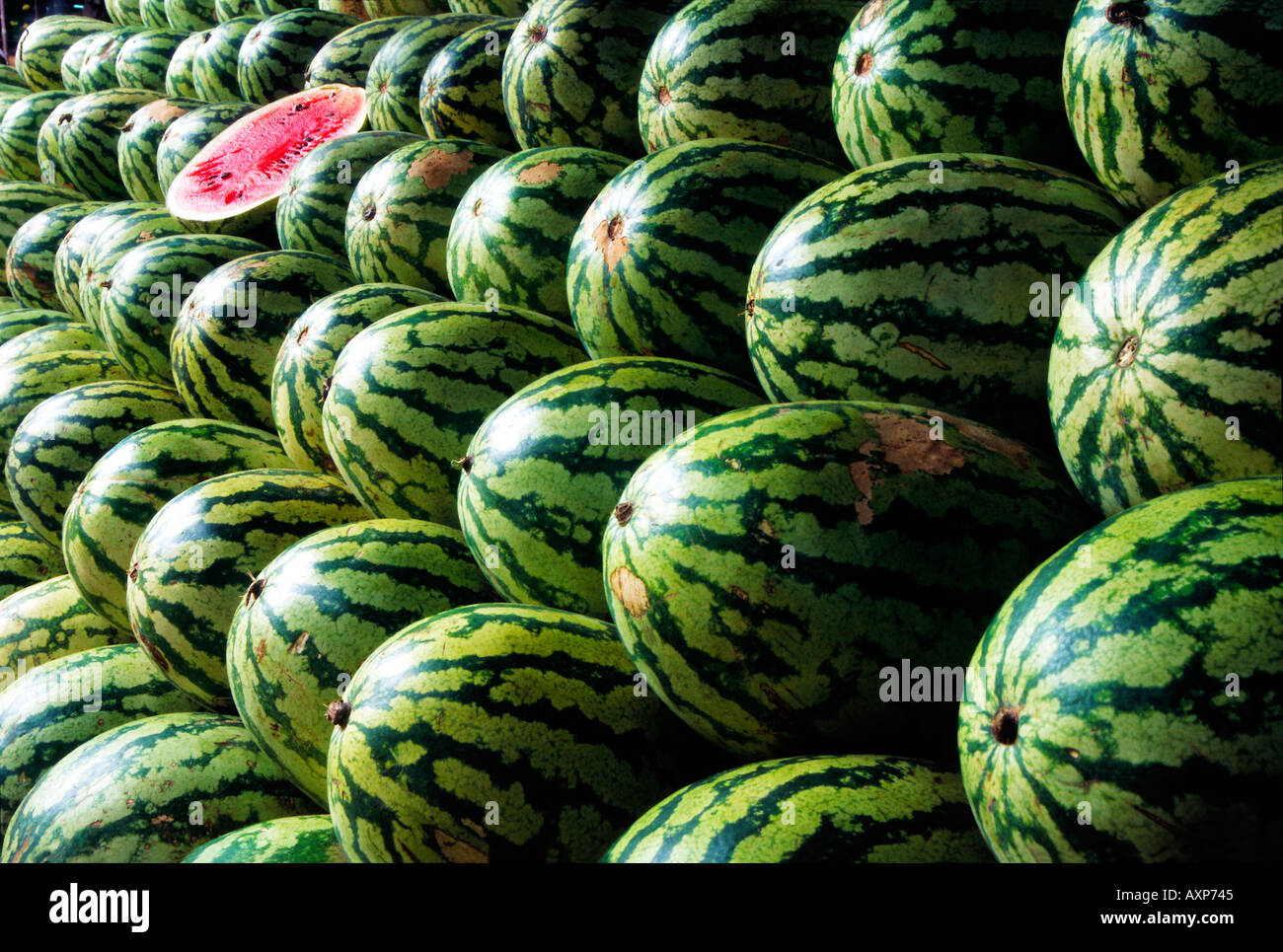 Watermelons stacked in rows (Citrullus lanatus Cucurbitaceae Stock ...