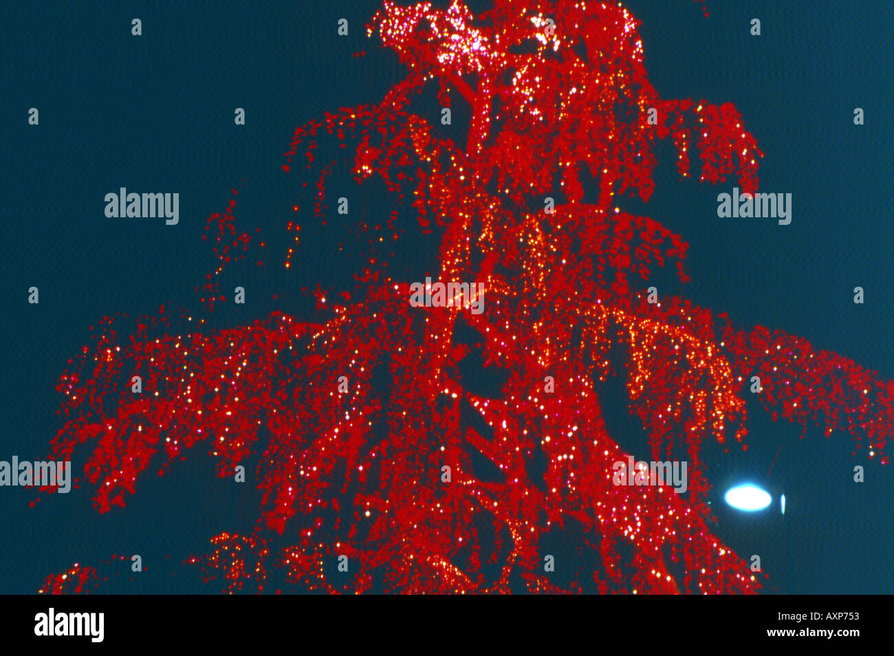 Char tree hi-res stock photography and images - Alamy