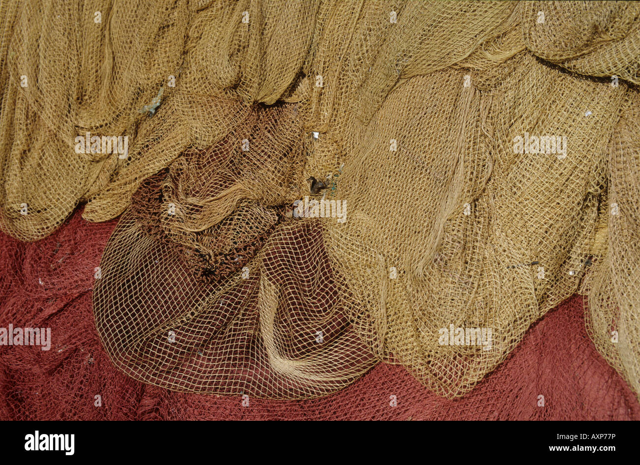 Filets nets hi-res stock photography and images - Alamy
