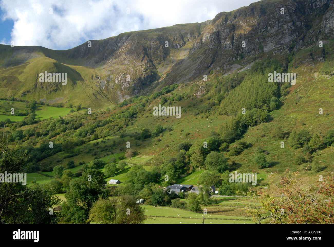 Landscape Cwm Cywarch Dinas Mawddwy Cambrian Mountains North West Wales ...