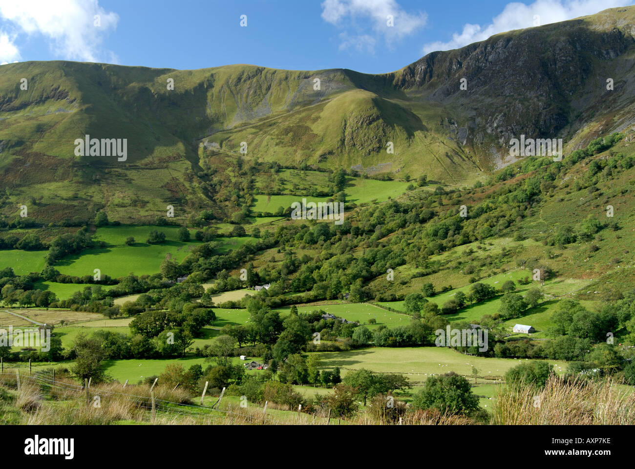 Landscape Cwm Cywarch Dinas Mawddwy Cambrian Mountains North West Wales ...
