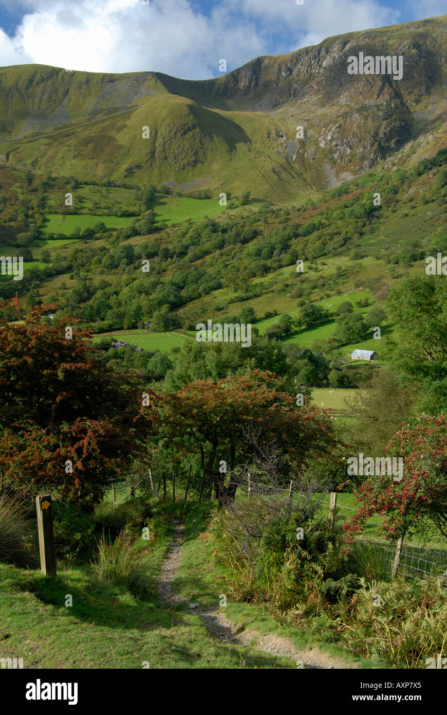 Landscape Cwm Cywarch Dinas Mawddwy Cambrian Mountains North West Wales ...