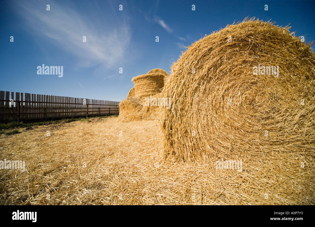 Darren hay hi-res stock photography and images - Alamy