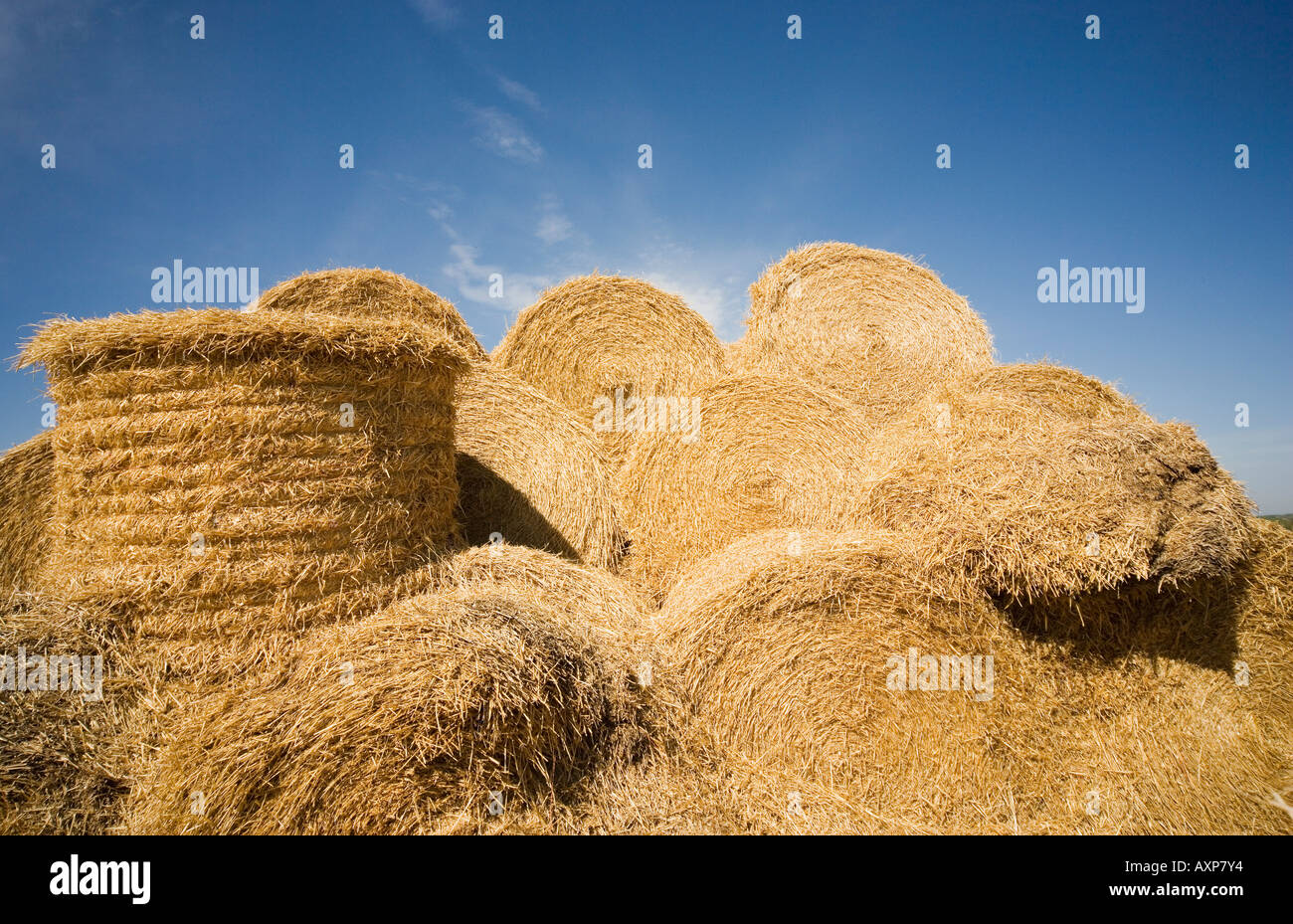 Stacked hay bales Stock Photo - Alamy