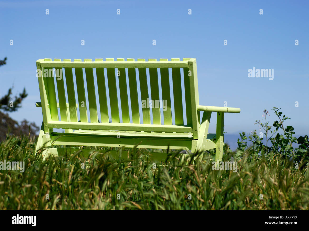 "green wooden bench facing "San Francisco" Bay Stock Photo - Alamy