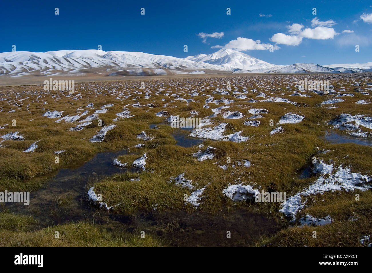 Tsambagarav Uul National Park near Bayan Olgi Mongolia Stock Photo - Alamy